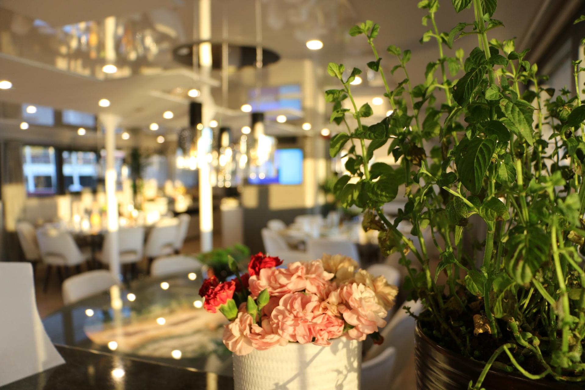 Kreuzfahrtschiff MS Rhapsody - Die Eisenbahn Erlebnisreise